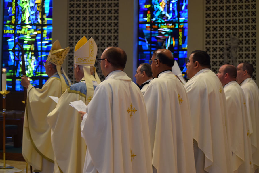 Year of Vocations Begins with Mass in Douglaston - The Tablet