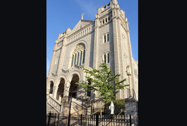 Alumni Reunion Helps OLPH Celebrate Its 125th Anniversary - The Tablet