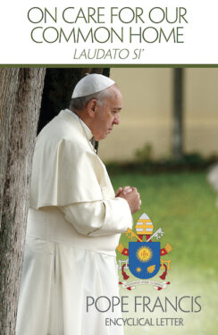 The Lessons of Laudato Si' - The Tablet