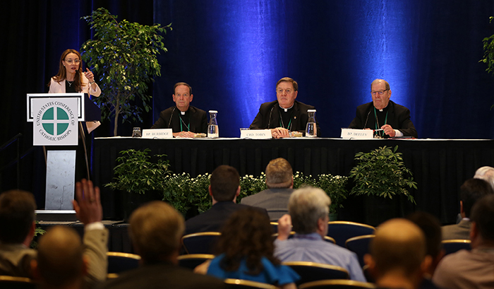 U.S. Bishops Will Gather Virtually for Their June 16-18 Spring Assembly ...