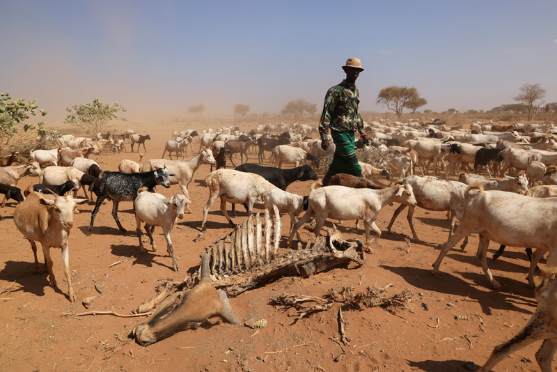 Eastern Africa Bishops Explore Consequences of Climate Change on Daily ...