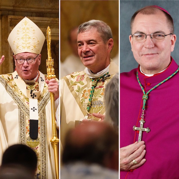 New York City Regional Bishops Pursue New Path in Priestly Formation ...
