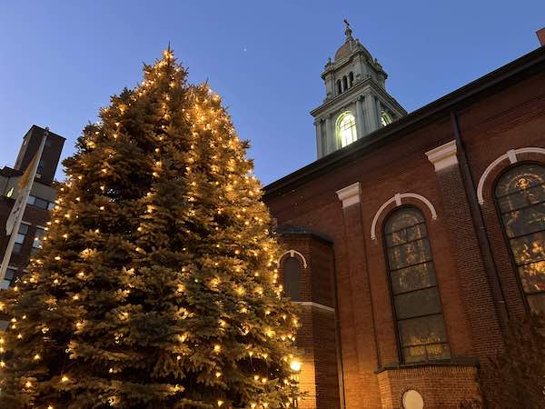 Bishop Brennan Lights Christmas Tree at the Cathedral Basilica of St ...