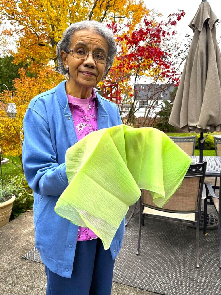 Servant of God Sister Thea Bowman: A Legacy Remembered - The Tablet